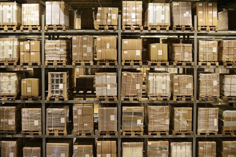 Bodega o Almacén: ¿Cuál es la mejor para el almacenamiento? | QDV